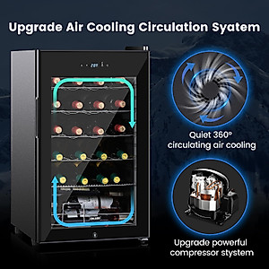 COLOZO 17 inch Wine Cooler Refrigerators Freestanding Under Counter Compact Bar Beverage Fridge 24 Bottle Countertop Double-Layer Tempered Glass Door Wine Cellars with Professional Compressor