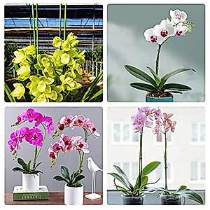 YESEEM 20Pcs 15.75 Inches Bendable Metal Orchid Stakes,Green Garden Plant Support,Plastic Coated Plant Stakes for Potted House Plants Indoor and Outdoor Included 100 Metallic Twist Ties,FHD007