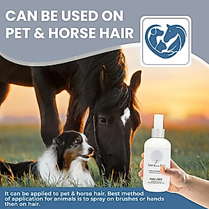 Static Blok Anti-Static Spray for Hair - Instantly Eliminate Static Cling, Shocks, Flyaways- Long-Lasting All-Day Freshness - works on Natural and Synthetic Wigs - 8oz