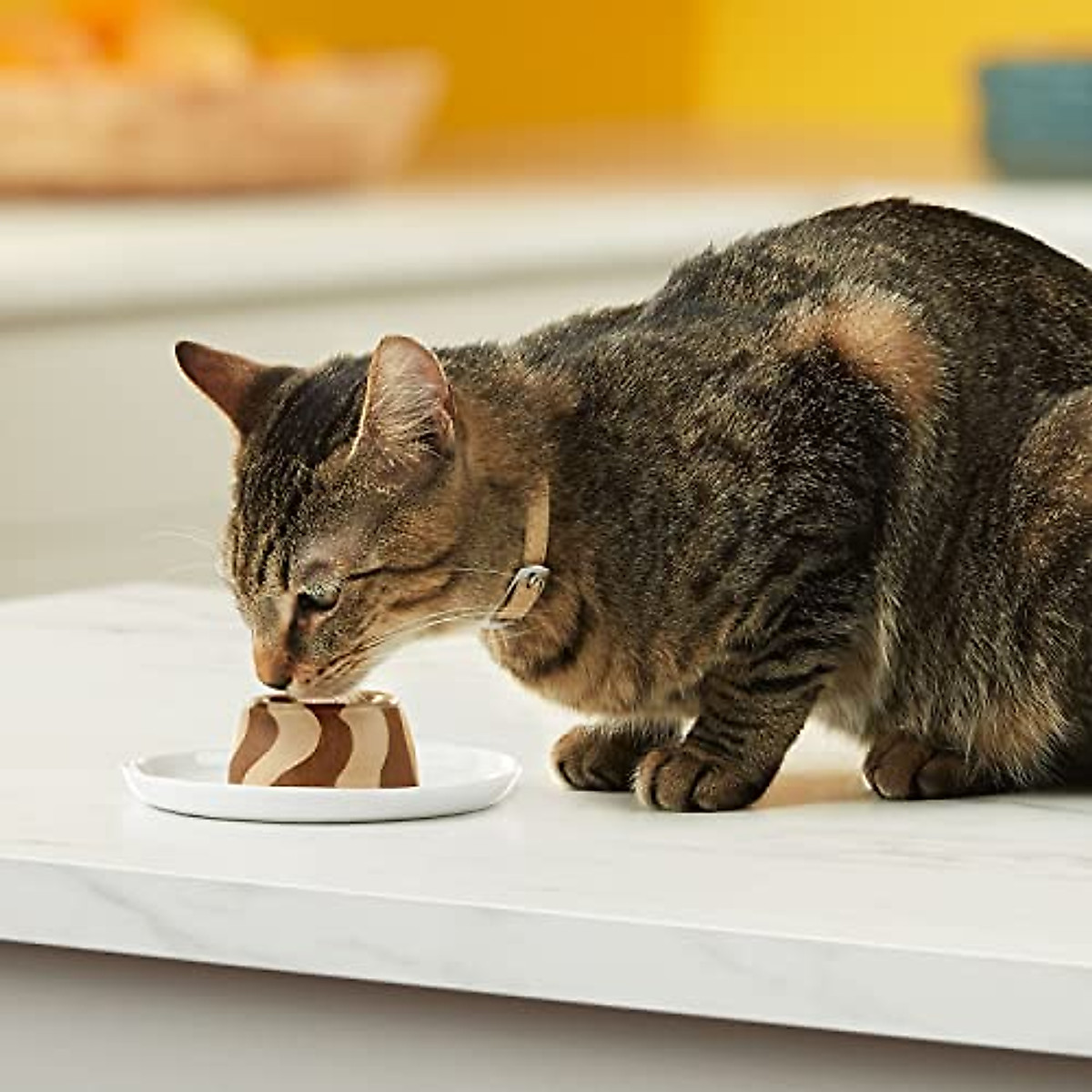 Meow Mix Tasty Layers Swirled Paté Cat Food, Chicken & Turkey Recipe in Sauce Stuffed With Real Chicken, 2.75 oz. Cup, 12ct