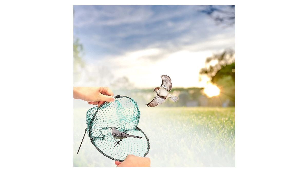 Humane Live Bird Trap Net - Catch Pigeons, Sparrows & More
