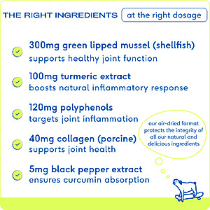 Native Pet Relief Chews - Anti Inflammatory for Dogs - Turmeric + Polyphenols + Green Lipped Mussels for Dogs - Natural Relief for Dogs - Dog Arthritis Supplement & Dog Joint Pain Relief - 30 Chews