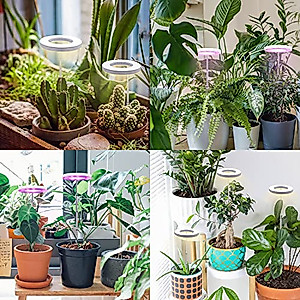 Tsothea Plant Grow Light, Full Spectrum LED Grow Lights for Indoor Plants, 3 Colors Plant Halo Light, Height Adjustable Small Grow Light with Auto On/Off Timer, 10 Dimmable Levels Growing Lamps