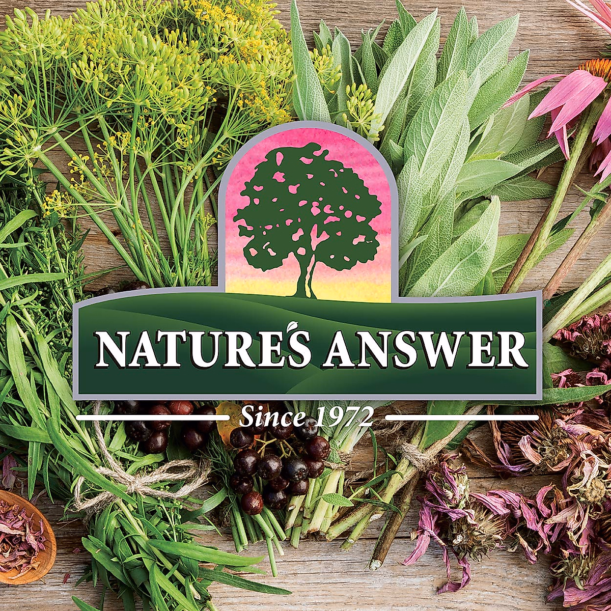 Nature's Answer Alcohol-Free Cranberry 1oz Extract