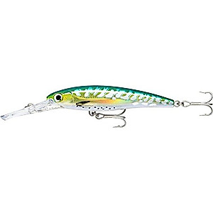 Rapala Unisex Adult X-Rap Magnum Fishing Bait Fishing Accessories with Large Diving Shovel Saltwater Spinning Bait Running Depth 12 m Fishing Lure 18 cm, 97 g Made in Estonia-Blue Bonito, Standard