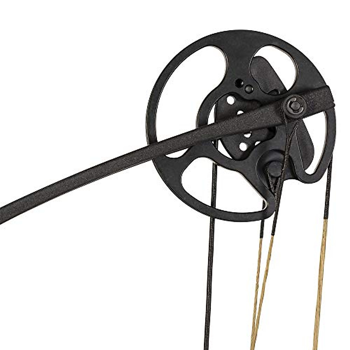 Bear Archery Limitless Dual Cam Compound Bow - includes Quiver, Sight and Rest, God's Country