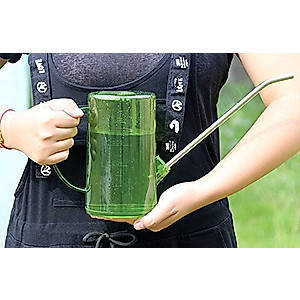 Nerseki 1 Litre/ 35 OZ Long Spout Watering Can for Succulents Bonsai Catus Plants Indoor Outdoor (Green)