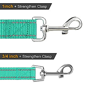 Joytale Double-Sided Reflective Dog Leash, 6 FT/5 FT/4 FT, Padded Handle Nylon Dogs Leashes for Medium & Large Dogs Walking, Teal, 6FT