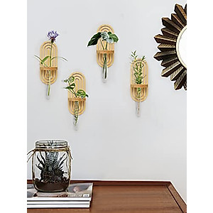 Biubee Plastic Wall Hanging Planter Tubes with Wooden Holders- 4 Set Separate Wall Mounted Propagation Plant Station Stable Hanging Test Tube Vase for Indoor Hydroponics Plants Home Office Decor