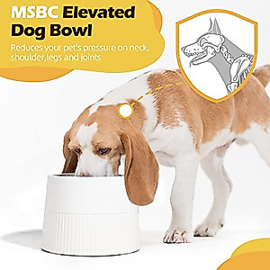MSBC Elevated Dog Bowl, 15oz Small Raised Dog Feeder with Removable Stainless Steel Food and Water Bowl, Non-Skid & Non-Spill Dog Dish for Small Dogs and Cats, Raised Cat Bowl, Dishwasher Safe, White