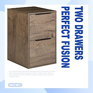 LUCYPAL 2 Drawer Wood File Cabinet,Wooden Storage Filing Cabinets with Hanging Bars for Letter Size and Home Office,Under Desk Storage Cabinet,Assembly Required (Grey)