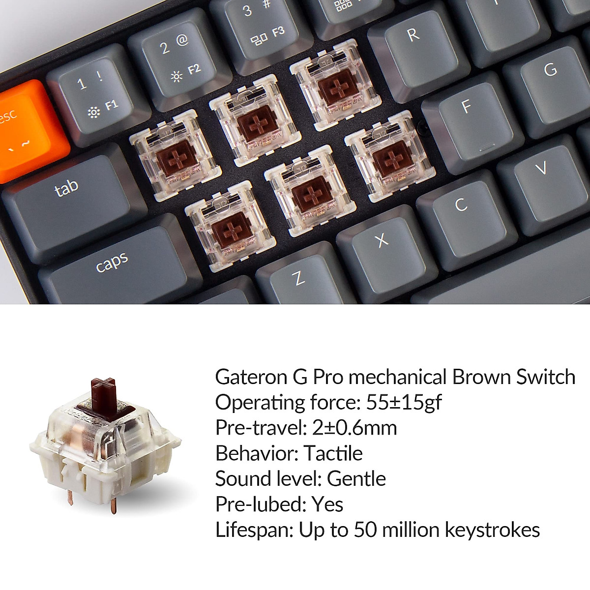 Keychron K14 70% Layout 72 Keys Bluetooth Wireless/USB Wired Mechanical Gaming Keyboard for Mac with Gateron G Pro Brown Switch/Multitasking/RGB Backlight Computer Keyboard for Windows Laptop