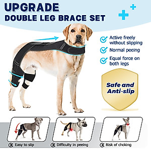 Dog Double Knee Brace for Torn ACL Hind Legs, Non-Slip Dog Double Leg Brace for Back Legs with Comfort Vest, Enhanced Stability Dog ACL Hip Brace with 2 Metal Strips for Ligament Injuries（Black,1-C)