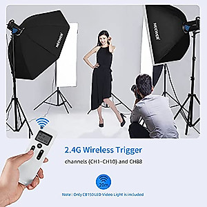 Neewer 150W 5600K LED Video Light, Bowens Mount Daylight Balanced LED Continuous Lighting CRI 97+,TLCI 97+ 13000Lux with 2.4G Remote for Video Recording,Wedding,Outdoor Shooting,YouTube (CB150)