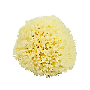 Neptune Natural Sea Wool Sponge - All Natural Honeycomb Renewable Sea Sponge, Large, Approx. 5 Inches