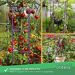 Large Tomato Cages for Garden - 48 Inches, 3-Pack Multifunctional Purple Tomato Plant Support for Vine, Vegetables, Fruits & Flowers with Adjustable Stake Arms - Non-Rusting with 328ft Twist Tie