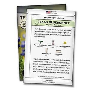 Sow Right Seeds - Texas Bluebonnet Seeds to Plant - Full Instructions for Planting and Growing a Beautiful Flower Garden; Non-GMO Heirloom Seeds; Wonderful Gardening Gift (1)