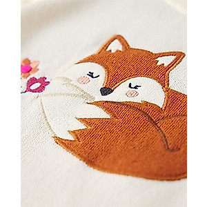 Gymboree,and Toddler Long Sleeve Sweaters,Friendly Fox,8