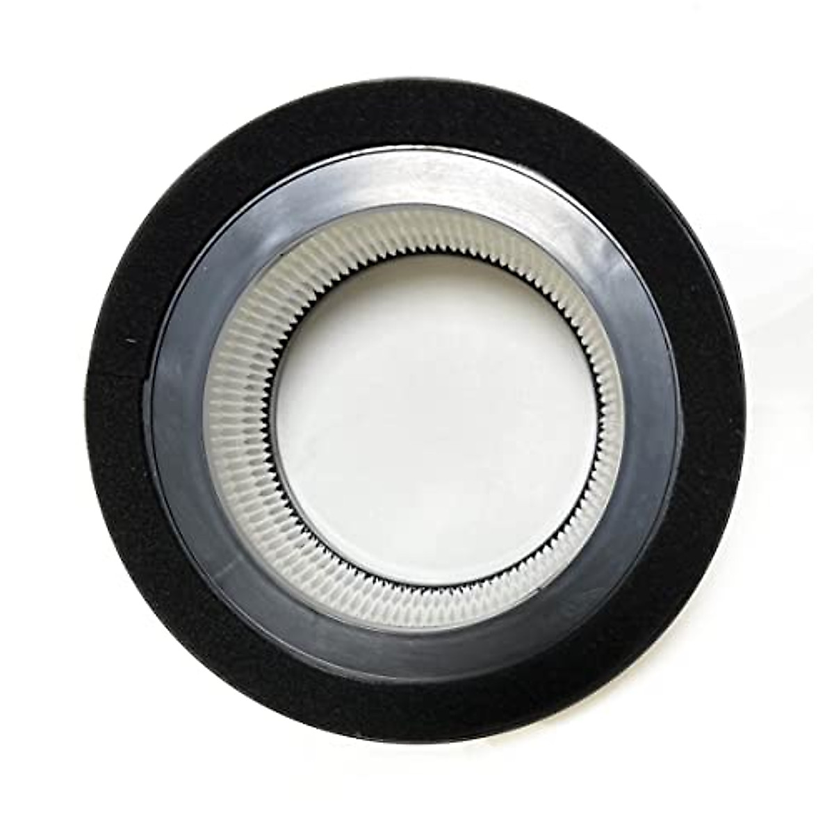 Nispira Replacement Filter L True HEPA + Activated Carbon Pre Filter Compatible with GermGuardian Air Purifier AC4200W FLT4200, 1 Pack