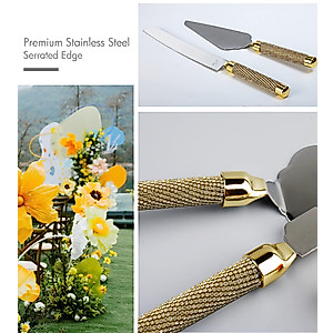 VARLKA Wedding Champagne Flutes and Cake knife Server Set Mr and Mrs Champagne Glasses Cake Cutting set for Wedding 7Oz Crystal Bride and Groom Toasting Flutes Engagement Gift Wedding Gift