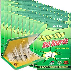 36 Pcs Large Mouse Sticky Traps with Stronger Stickiness Rat Glue Boards for Mice Rats Rodents, Professional Home Animal Trap Sticky Pads for House Indoor Outdoor