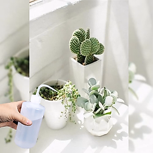 LDPE Economy Squeeze Wash Bottle - 250ml/8OZ Medical Label Tattoo Plastic Green Soap Cleaning Narrow Mouth Scale Labels No Leaking Safety Rinse Irrigation Sprinkling Reusable for Watering Plants