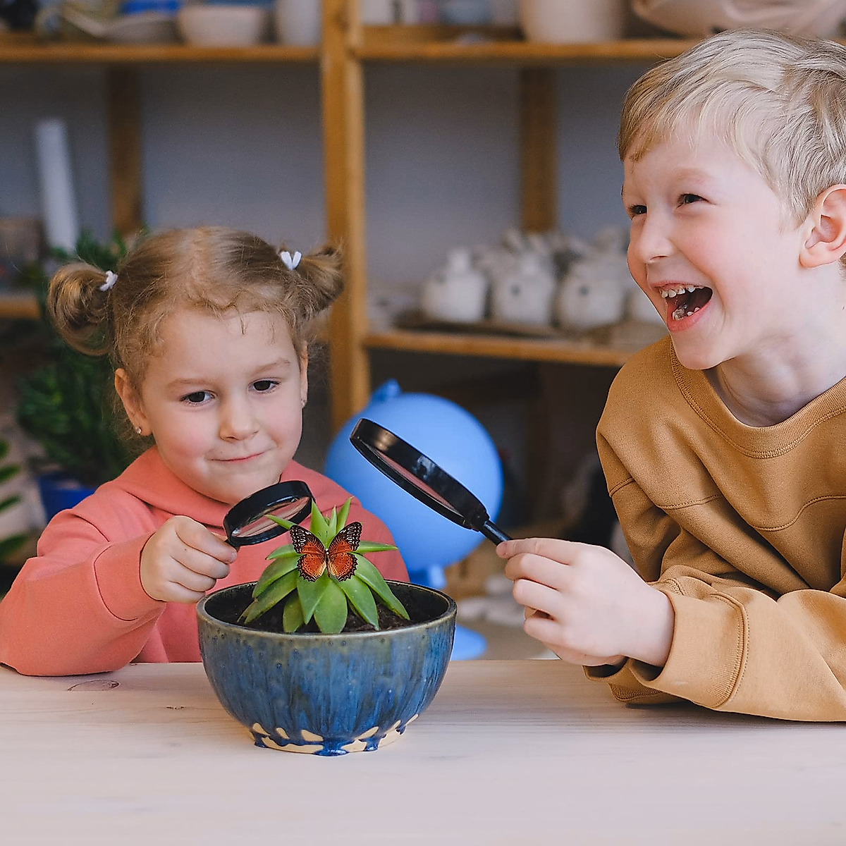 Pokiphip 12 Pcs Taxidermy Butterfly, Real Butterfly Taxidermy Natural Unmounted Butterfly Specimen, Exquisite Collection of Real Butterflies for Home Decor and Crafts