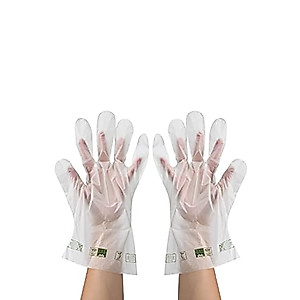 TYPLASTICS Compostable Food Prep Gloves, Large, Pack of 100, ASTM D6400, US BPI and Europe OK Compost HOME Certified