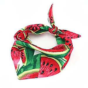 Red Watermelon Dog Bandana, Summer Bandana