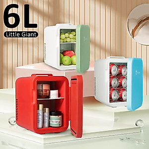 FavorCOOL Mini Skincare Fridge, 6 Liter/6 Cans Small Refrigerator Cooler Warmer 110V AC/ 12V DC Personal Fridge for Bedroom, Beverage, Makeup