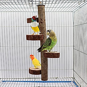 Chinchilla Hanging Wooden Rotating Platform, Bird Perch Platform Stand Toy, Natural Wood Perch Stand Platform, Small Animals Cage Accessories for Parrots Rats Parakeets Cockatiels Sugar Glider
