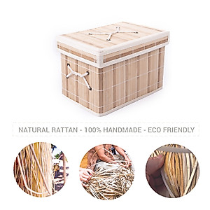 BEMIAO Foldable Bamboo Storage Organizer with Lid, Premium Fabric Wicker Bin, Storage Bin, Natural Basket for Closet, Nursery, Bedroom, Living Room, Light Brown