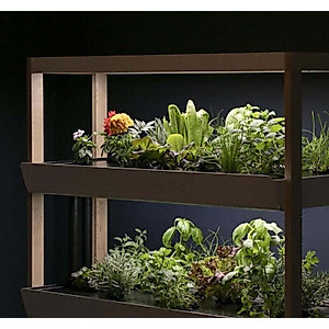 Rise Gardens Indoor Garden Seed Pod Tray Lid, Fits 12 Hydroponic Garden Pods