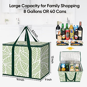 BALEINE 2Pk Insulated Reusable Grocery Bags, Collapsible Cooler Bag for Groceries, Heavy Duty Large Insulated Bag (16''x9''x13'', Antique Foliage)