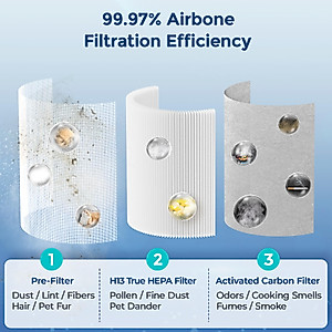 Fil-fresh 2-Pack TP01 TP02 Replacement Filter Kit, Compatible with Dyson Pure Cool Air Purifier, H13 True HEPA Filters and Activated Carbon, Replace 968126-03