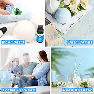 Clean Fragrance Oil, ESSLUX Essential Scented Oils for Diffuser for Home, Premium Soap Candle Making Scents, Aromatherapy Oils Collection for Laundry, Humidifiers, Fresh Scents for Spring Summer