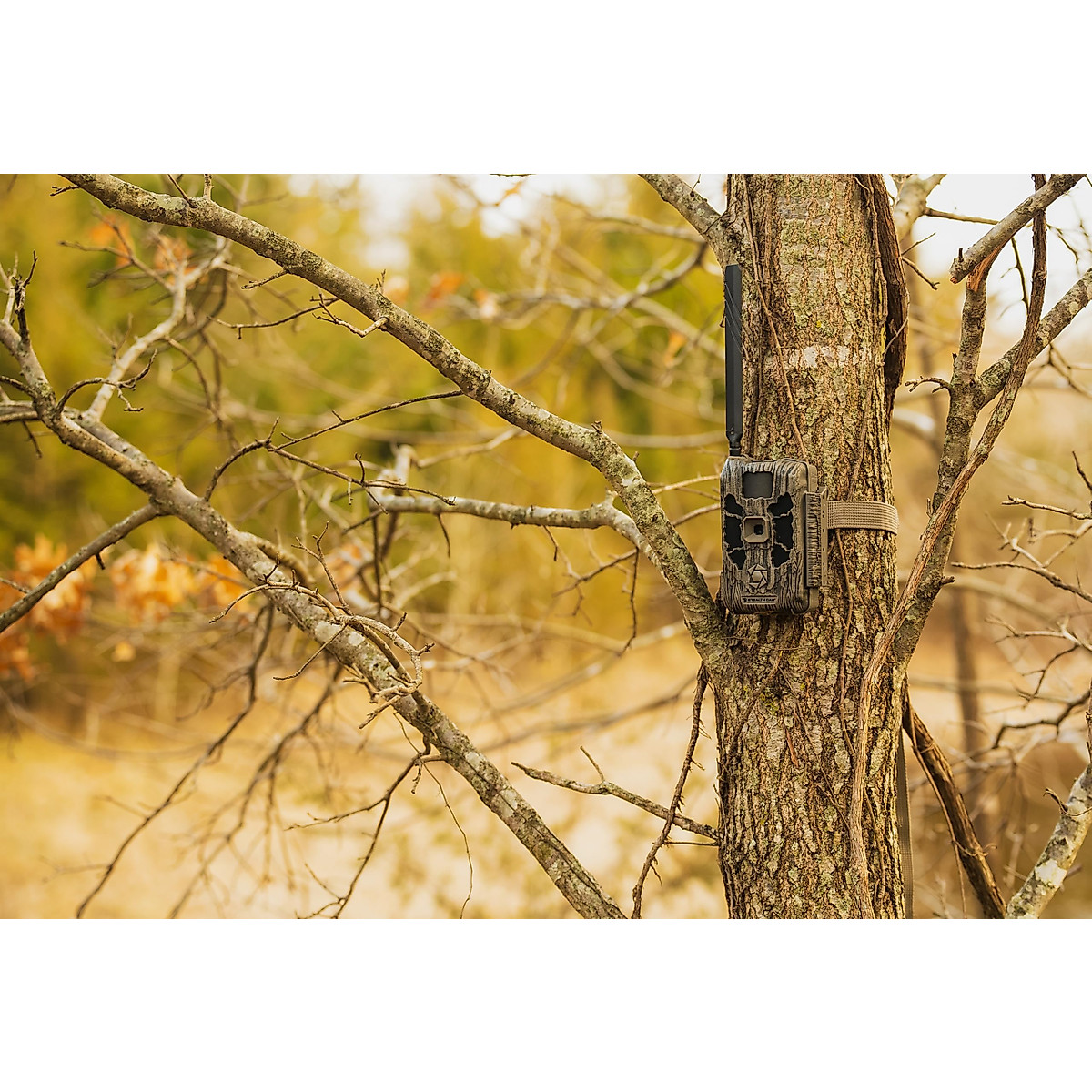 Stealth Cam Deceptor NO GLO 80ft Detection & IR Range 40MP Photo 1440P HD Video Capture Remote App Contol Wireless Hunting Cellular Trail Camera - Available on AT&T & Verizon