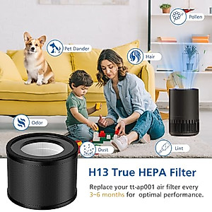 2 Pack H13 True HEPA Replacement Filter, Compatible with TaoTronics TT-AP001 and VAVA VA-EE014, 3-in-1 H13 Grade True HEPA and Activated Carbon Filter