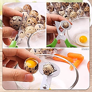 2Pcs Stainless Steel Quail Egg Scissors - Egg Slicer Pigeon Clipper Shell Separator Quail Egg Peeler Kitchen Scissor Egg Cracker - Scissor Cooking Cutter Quail Egg Cutter - Kitchen Shear for Salad