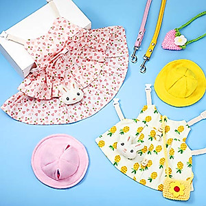 2 Sets Pet Rabbit Bunny Dress Bunny Easter Costume with Leash Hat Mini Bag Harness Leash Small Animals Accessory for Rabbit Hedgehog Ferret Guinea Pigs Piggies Squirrel (Pineapple and Cherry)