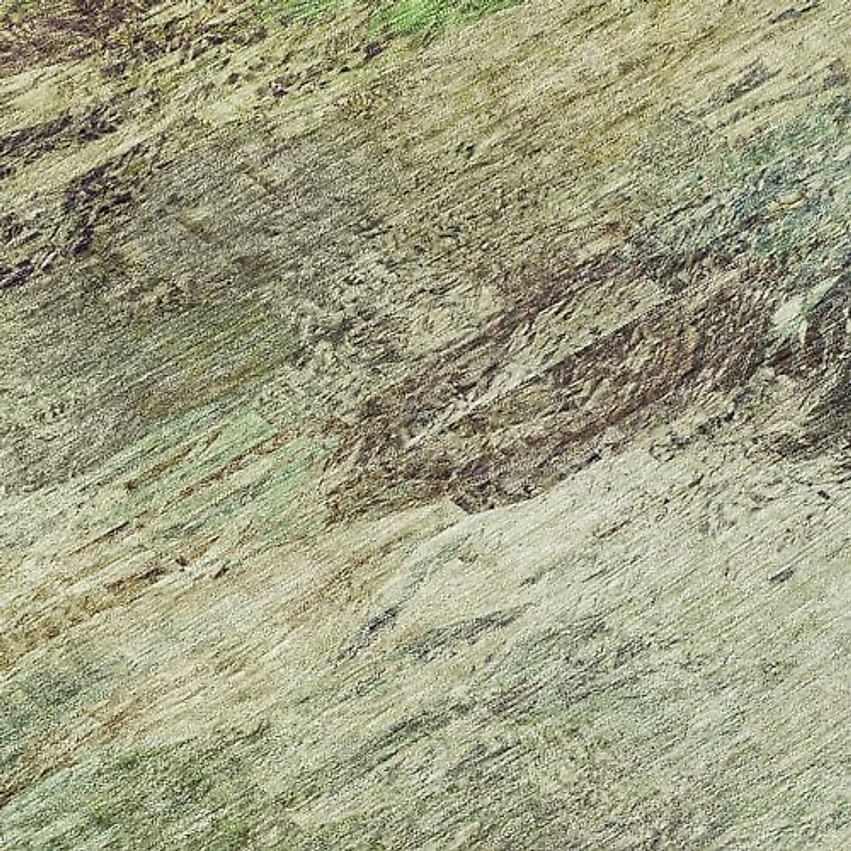 Addison Rugs Chantille ACN592 Beige 9' x 12' Indoor Outdoor Area Rug, Easy Clean, Machine Washable, Non Shedding, Bedroom, Living Room, Dining Room, Kitchen, Patio Rug