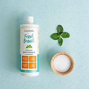 Oxyfresh Fresh Breath Fresh Mint Mouthwash – Dentist Recommended for Long-Lasting Fresh Breath & Healthy Gums | Alcohol & Fluoride Free (1-16 oz Bottle)