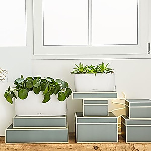 Lechuza 15460 Delta 10 Indoor and Outdoor Use, 12" x 4" x 5", Self Watering Planter, 30cm, White High Gloss