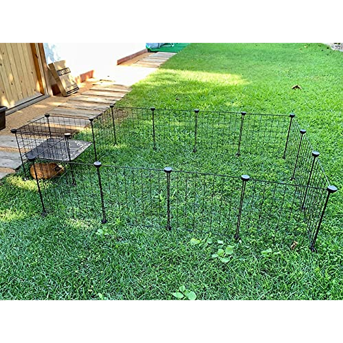 LANGXUN DIY Small Animal, Pet Playpen, Rabbit , Guinea Pig Cages, Puppy, Kitten Playpen | Indoor & Outdoor Portable Metal Wire Yard Fence (16pcs Metal Panels)