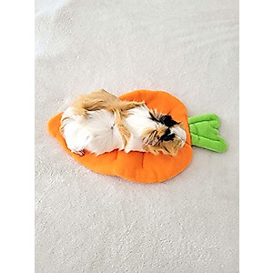 Guinea Pig Bed Mat Washable Pee Pad, Fleece Bedding for Rodent, Reusable Carrot Cage Liner for Rabbit, Hedgehog, Rat, Hamster or Small Animal