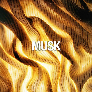 Curve Chill Eau De Toilette Perfume Spray, Perfume for Women 3.4oz