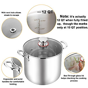 TeamFar 12 Quart Stock Pot, 18/10 Stainless Steel Large Cooking Soup Pot with Lid for Simmering/Stewing, for Induction/Gas/Ceramic, Healthy & Heavy-Duty, Riveted Handles & Dishwasher Safe
