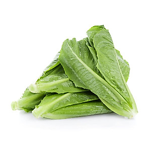 Romaine Lettuce Seeds (USA Grown Paris Island COS Lettuce Seed) - 275+ Seeds per Pack