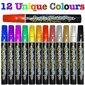 Desire Deluxe Acrylic Paint Pens for Rock Painting, Stone, Ceramic, Glass, Wood, Canvas – Set of 12 Non Toxic Water Based Markers - Great Artists Painting Supplies