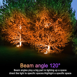 LOXYEE PAR38 Flood Orange Light Bulb,2 Pack-Dimmable,E26 Base Orange Flood Light Outoor(20W Replace to 200W),Orange Light Bulb for Outside,Halleween,Orange Decor,Christmas,Holiday Lighting.